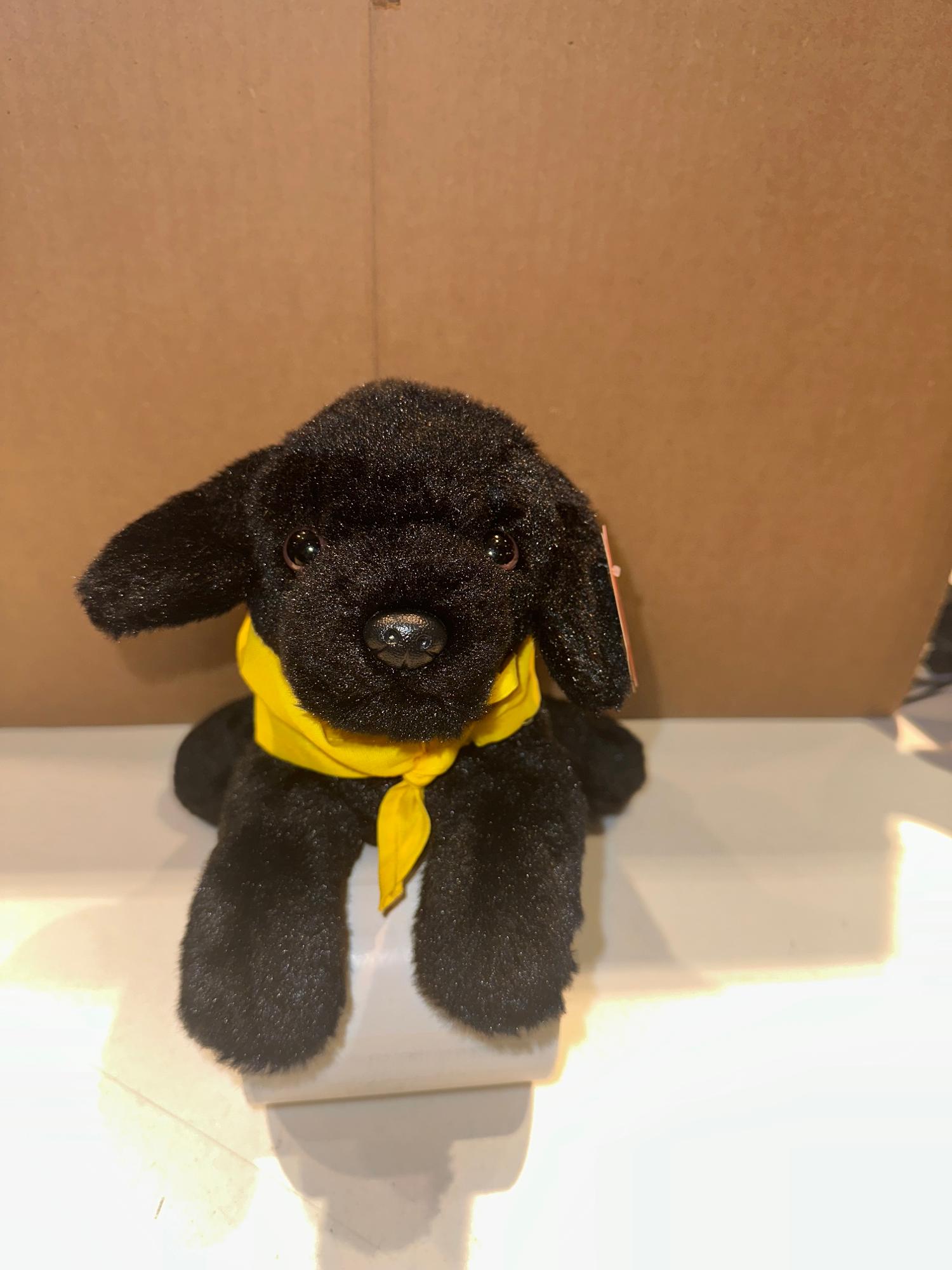 Little Miss. Merri | Merrimack College Bookstore