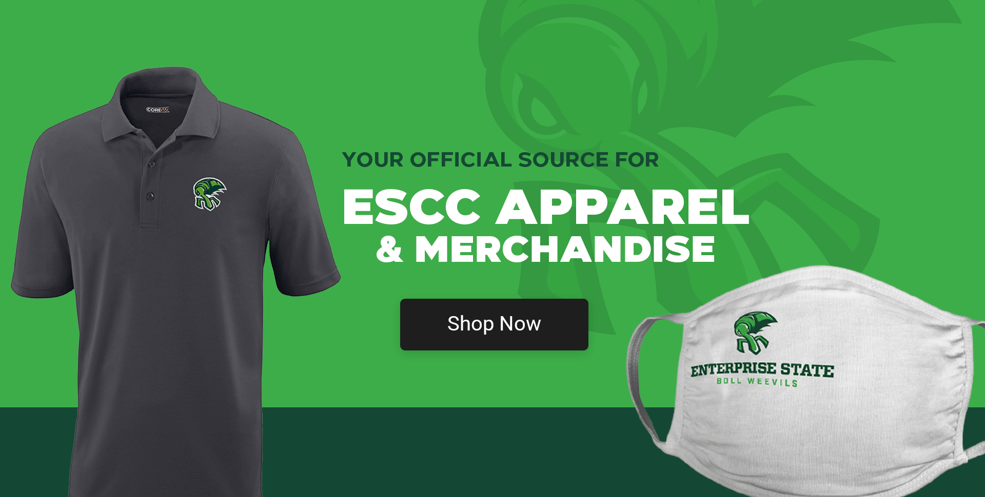 Enterprise State Community College - Home