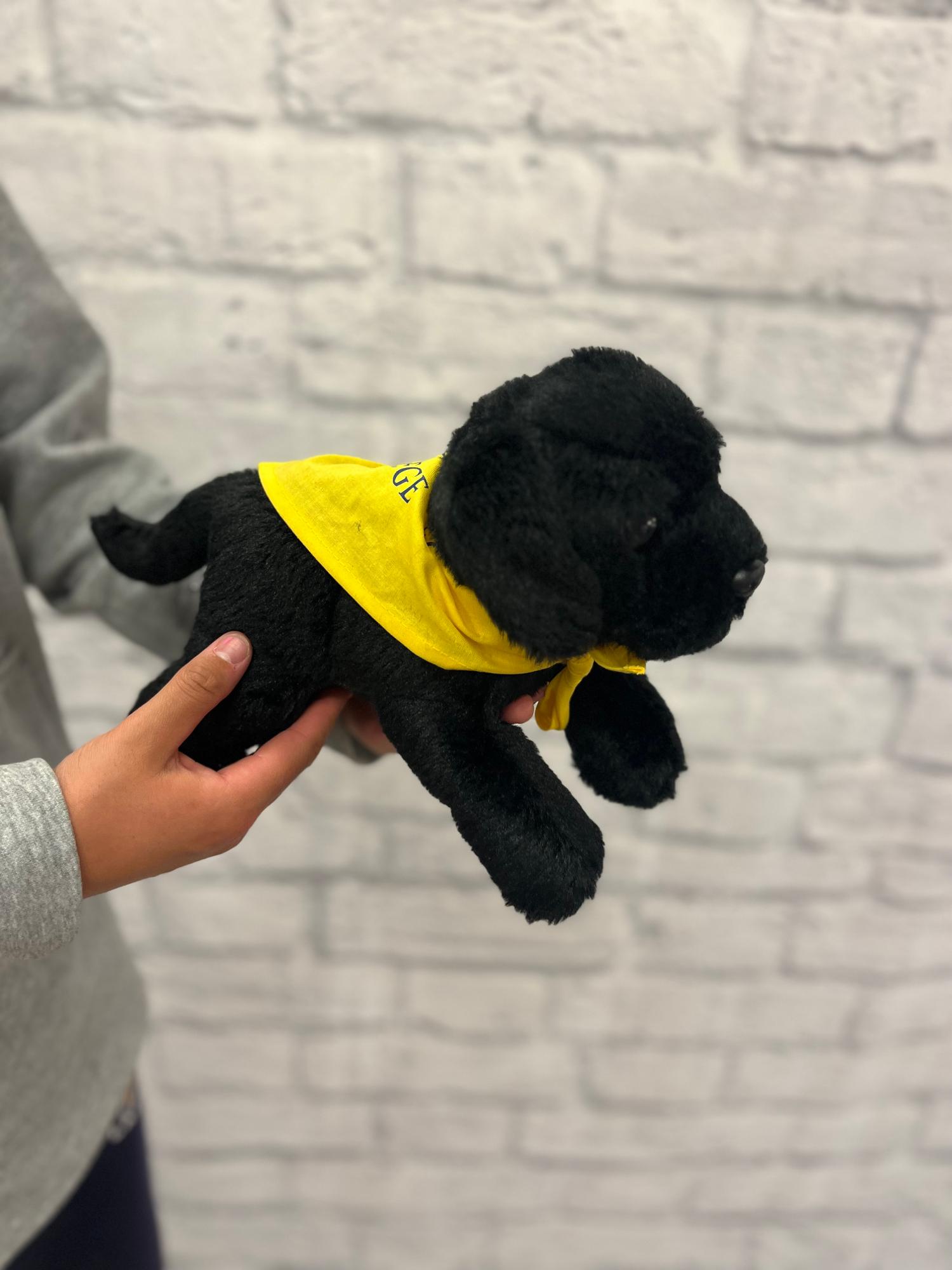 Little Miss. Merri | Merrimack College Bookstore